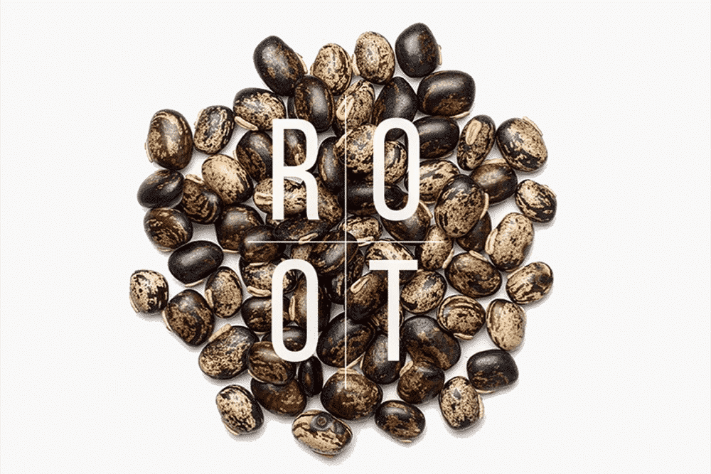 ROOT Brand | Vegan Products | Natural Products | Wellness Goals